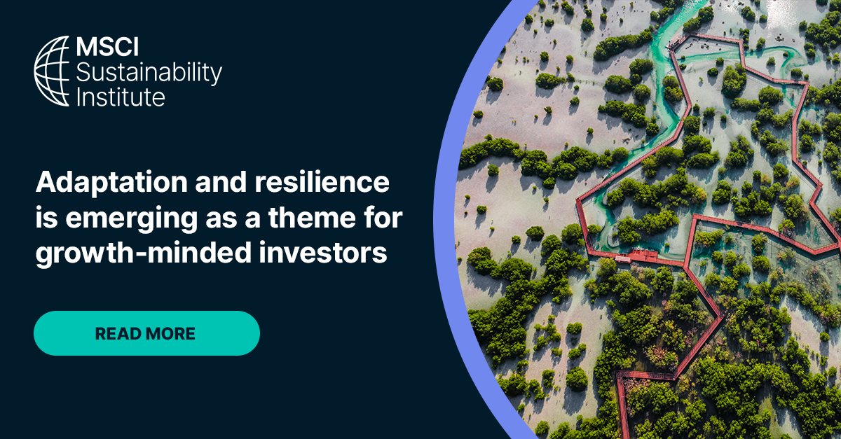 How to make climate adaptation and resilience investable